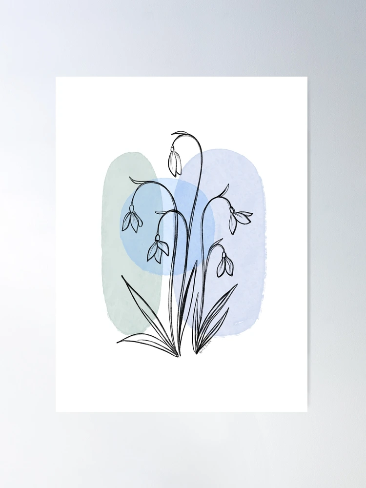 Snowdrop Drawing Pictures