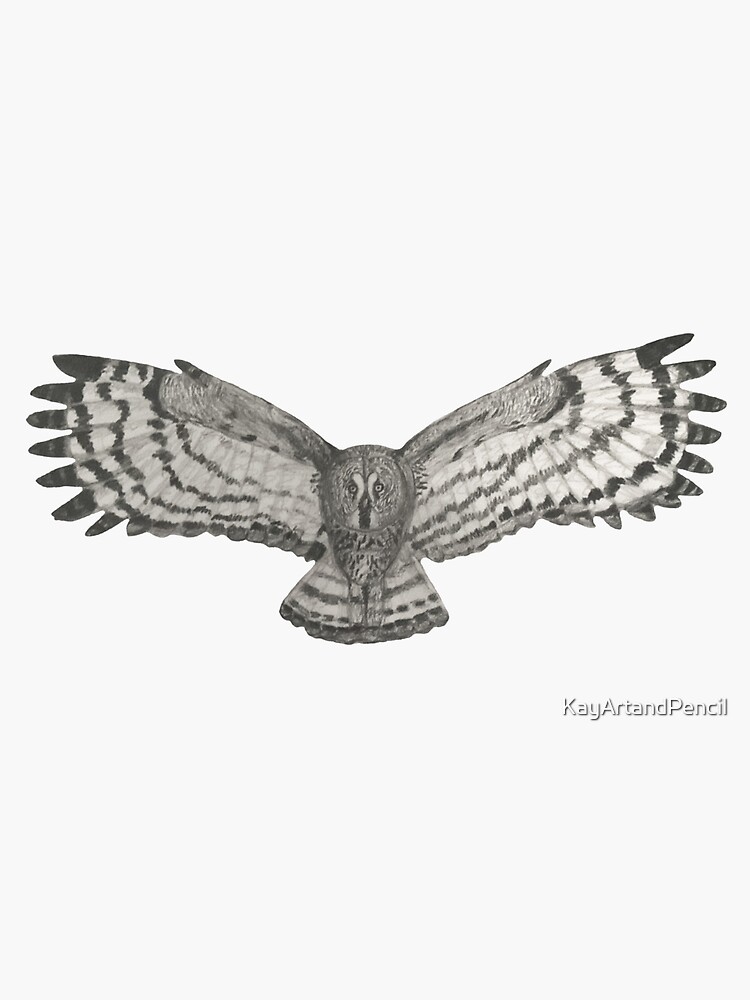 "Swooping Owl Pencil Drawing" Sticker for Sale by KayArtandPencil ...