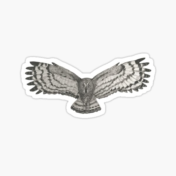 "Swooping Owl Pencil Drawing" Sticker for Sale by KayArtandPencil ...