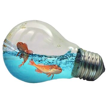 Light Bulb Fish Real
