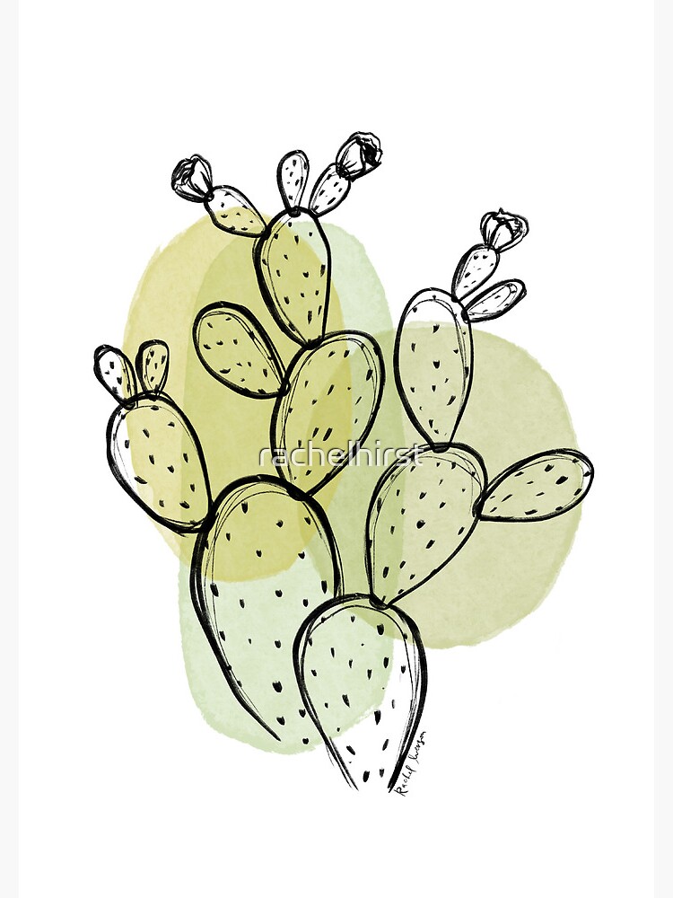 Prickly Pear Drawing Prickly Pear Cactus — Jane Hood Art