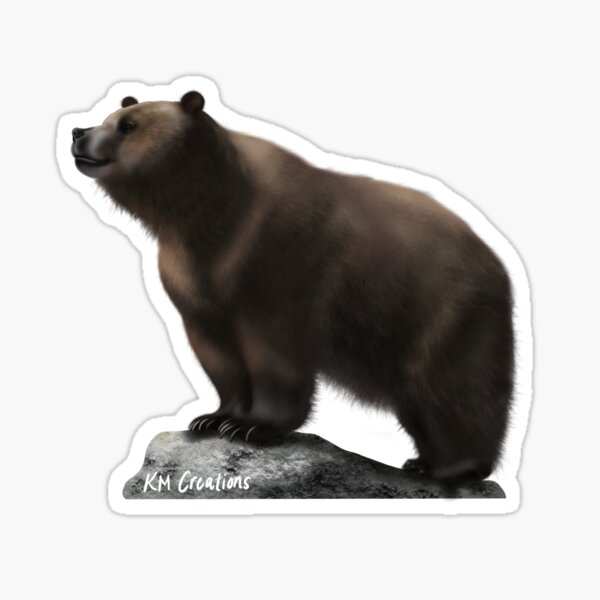 "Brown bear" Sticker for Sale by KMCreations239 | Redbubble