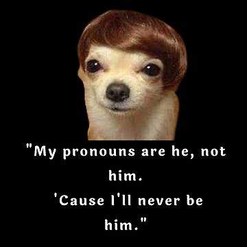 ""My pronouns are he, not him. 'Cause I'll never be him." Dog Wig Meme ...