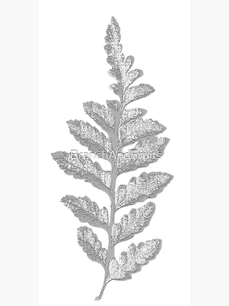 "Gray and White Fern - Fern Photo" Poster for Sale by BranchAndFruits ...