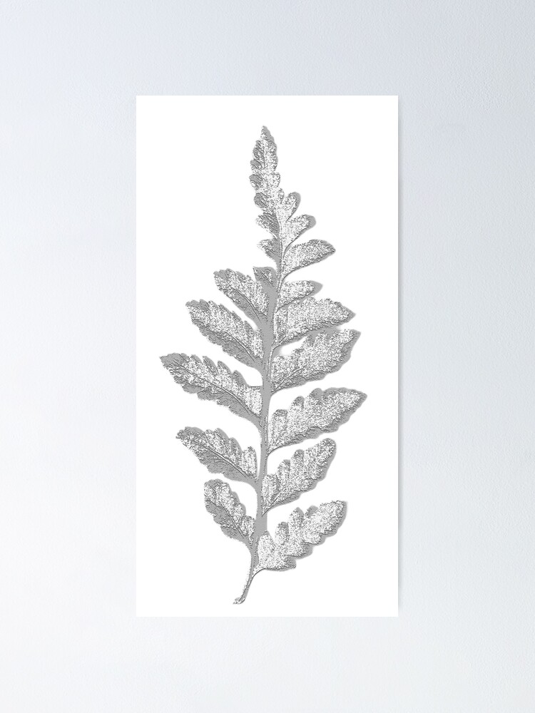 "Gray and White Fern - Fern Photo" Poster for Sale by BranchAndFruits ...