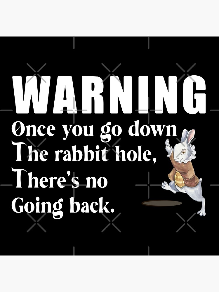 "Once you go down the rabbit hole, there's no going back" Poster for ...