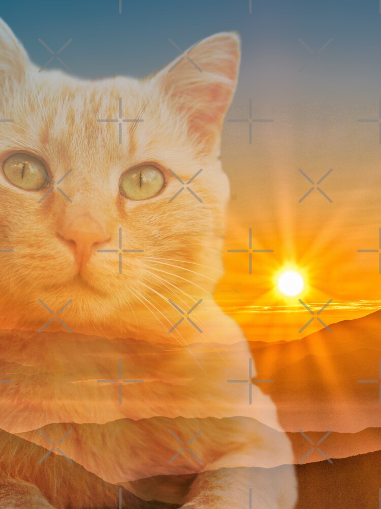 "Orange Sun Cat" Sticker for Sale by DigitalBabyGirl | Redbubble