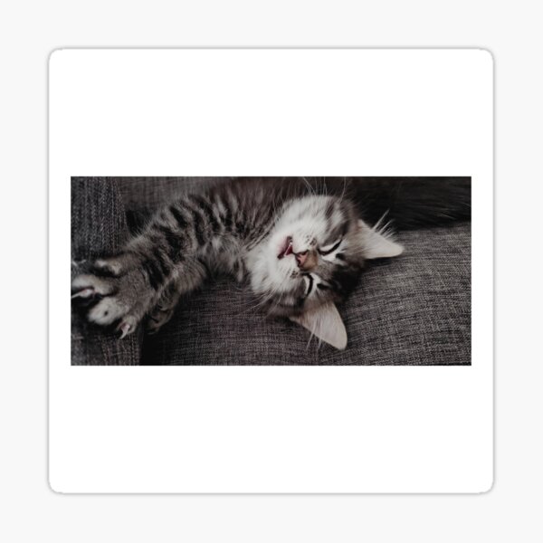 Wamu Gifts & Merchandise for Sale | Redbubble