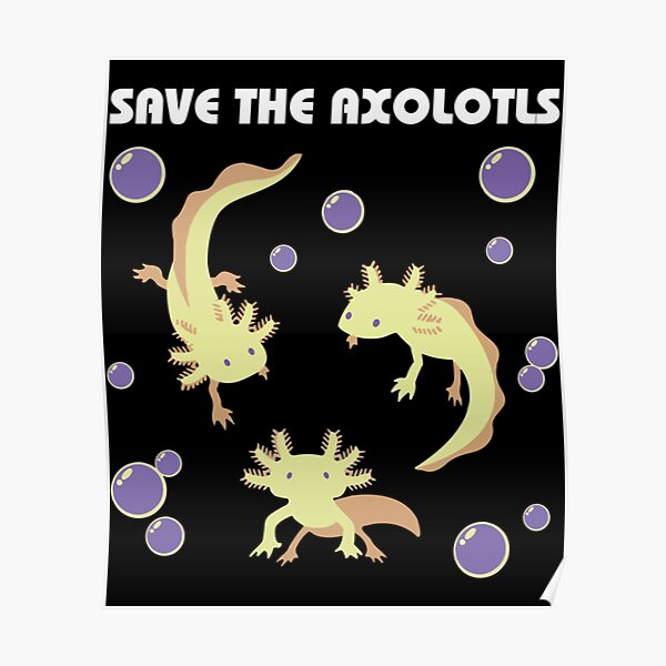 "Save The Axolotls " Poster for Sale by bichhuushop | Redbubble