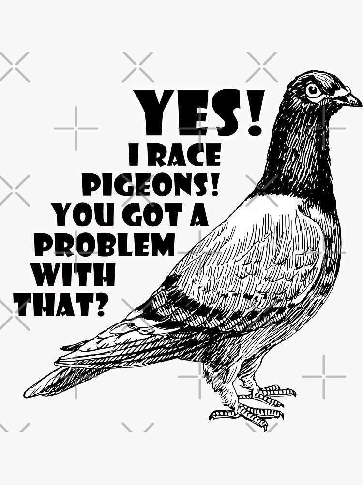 "Yes I race Pigeons" Sticker for Sale by QuirkyDesign101 | Redbubble