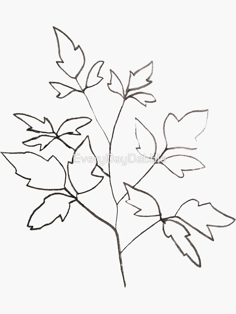 "Poison Ivy Drawing - Leaves of three " Sticker for Sale by ...