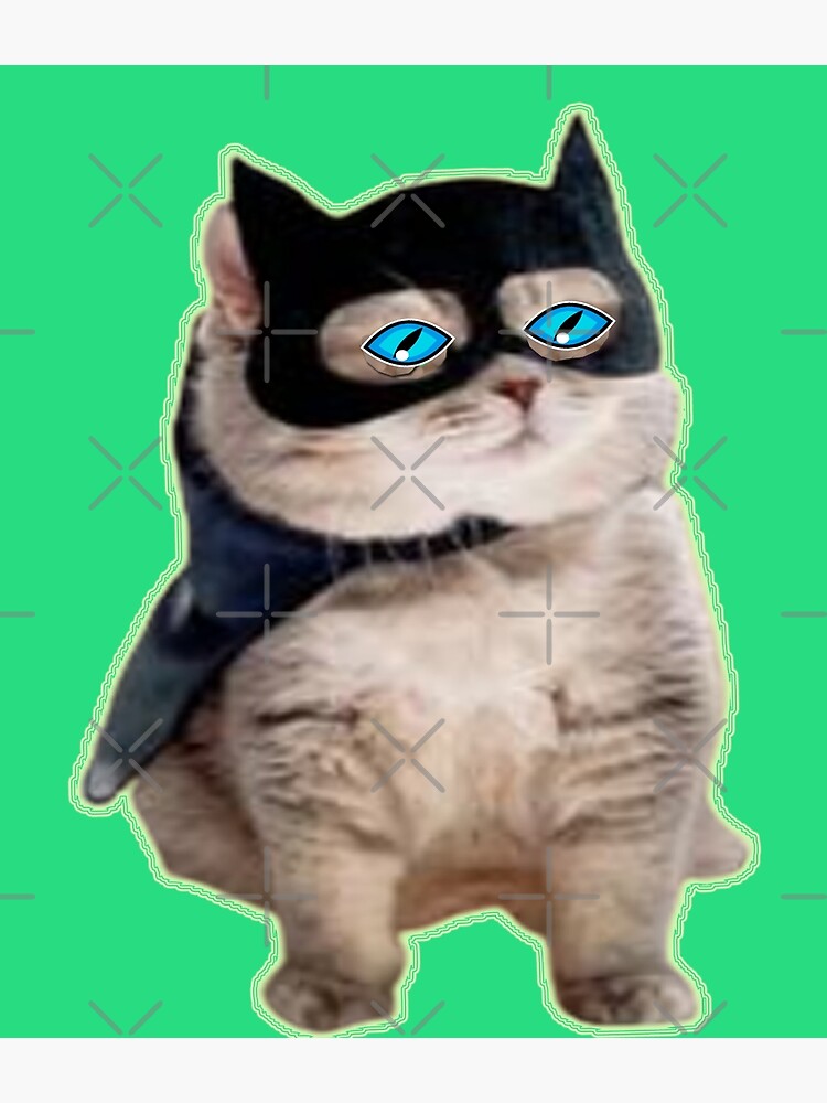 "Cat With Blue Eyes be kind to animals or ill kill you cat lovers cat ...