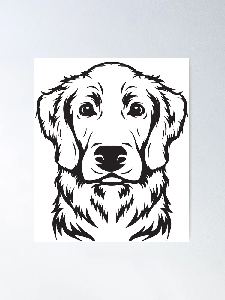 Golden Retriever Outline 29 Golden Retriever Outline Stock Photos,