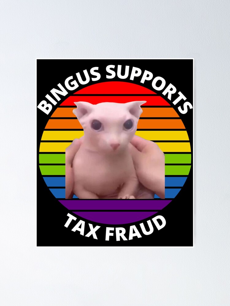 Póster «Bingus Mi amado gato esfinge Meme» de TheValkyries09 | Redbubble