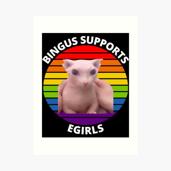 "Bingus My Beloved Sphinx Cat Meme " Art Print for Sale by ...