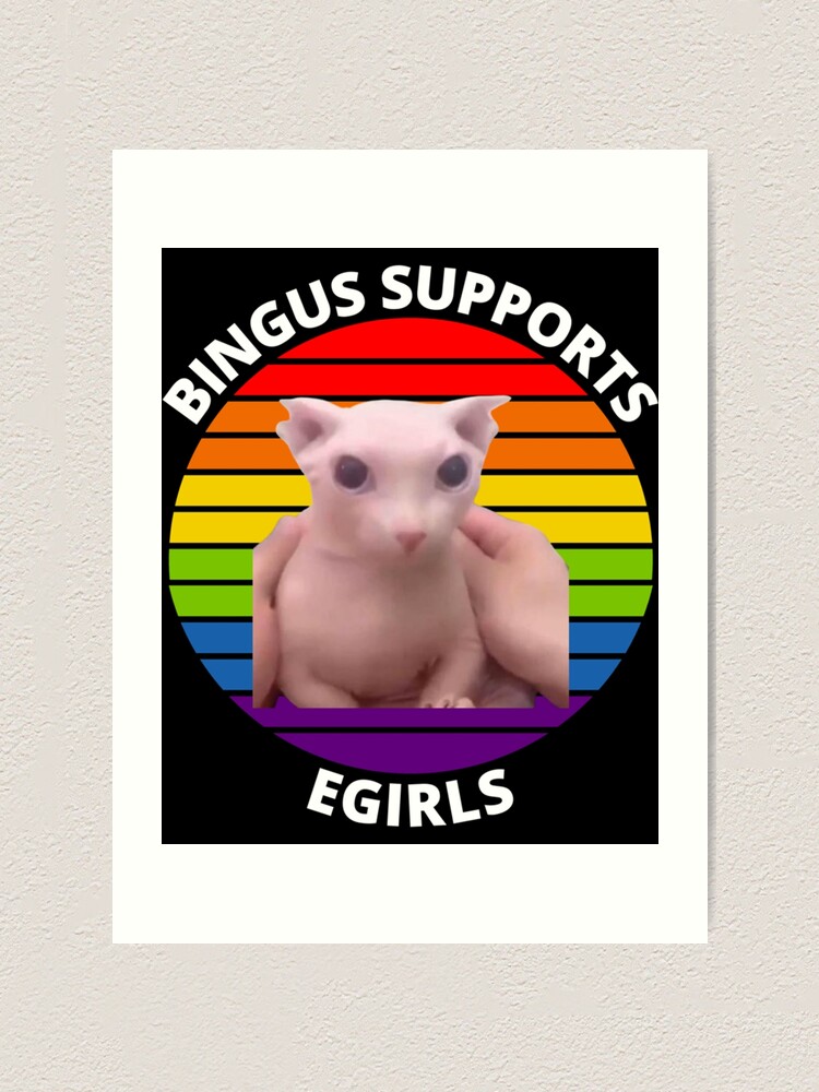"Bingus My Beloved Sphinx Cat Meme " Art Print for Sale by ...