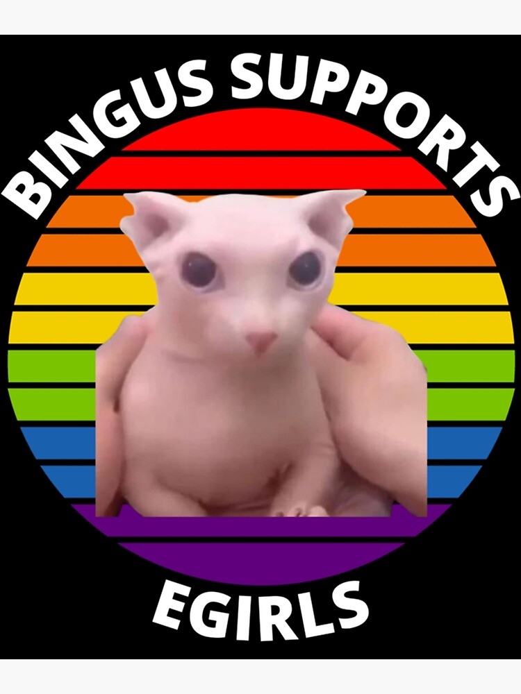 Póster «Bingus Mi amado gato esfinge Meme» de TheValkyries09 | Redbubble