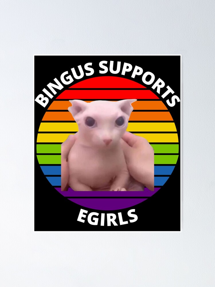 "Bingus My Beloved Sphinx Cat Meme " Poster for Sale by TheValkyries09 ...