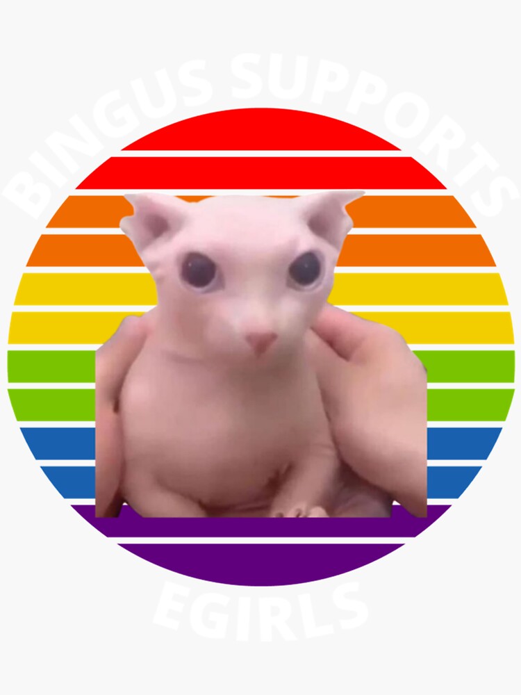 "Bingus My Beloved Sphinx Cat Meme " Sticker for Sale by TheValkyries09 ...