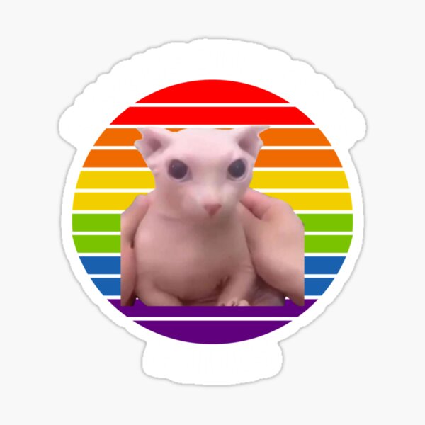 Pegatina «Bingus Mi amado gato esfinge Meme» de TheValkyries09 | Redbubble