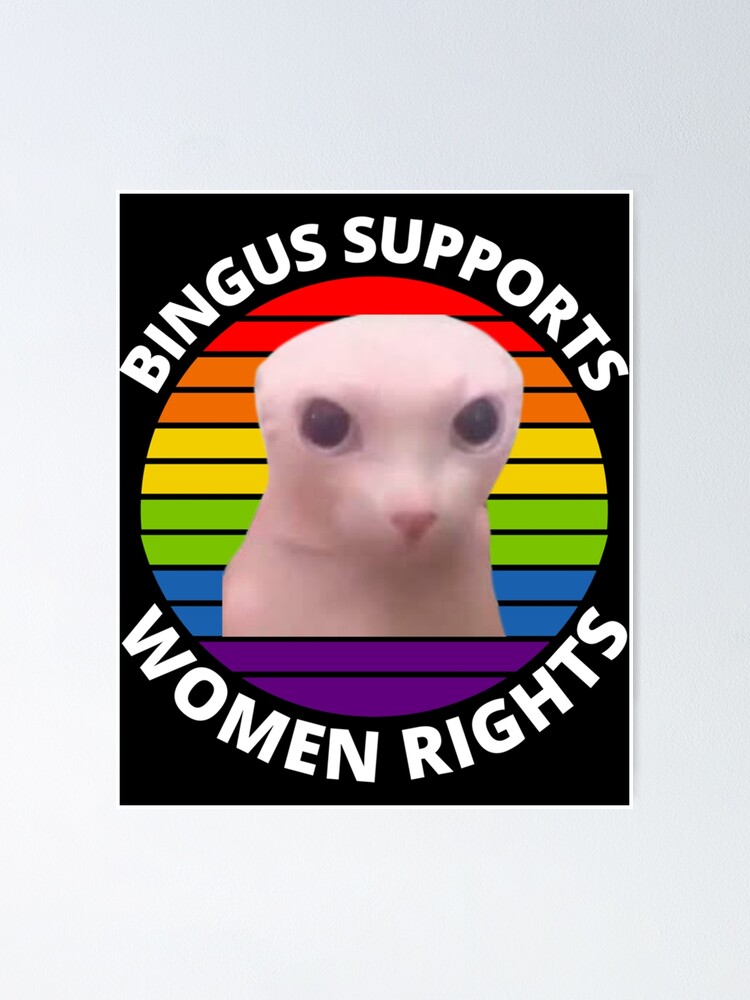 "Bingus Supports Womens Rights " Poster for Sale by TheValkyries09 ...