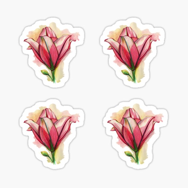 "Four Watercolour Lily Buds" Sticker for Sale by GhostlyNature | Redbubble