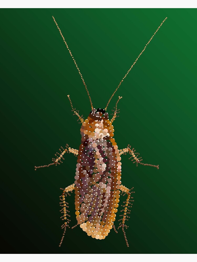 "Cockroach Bedazzled" Poster for Sale by Feralcoot | Redbubble