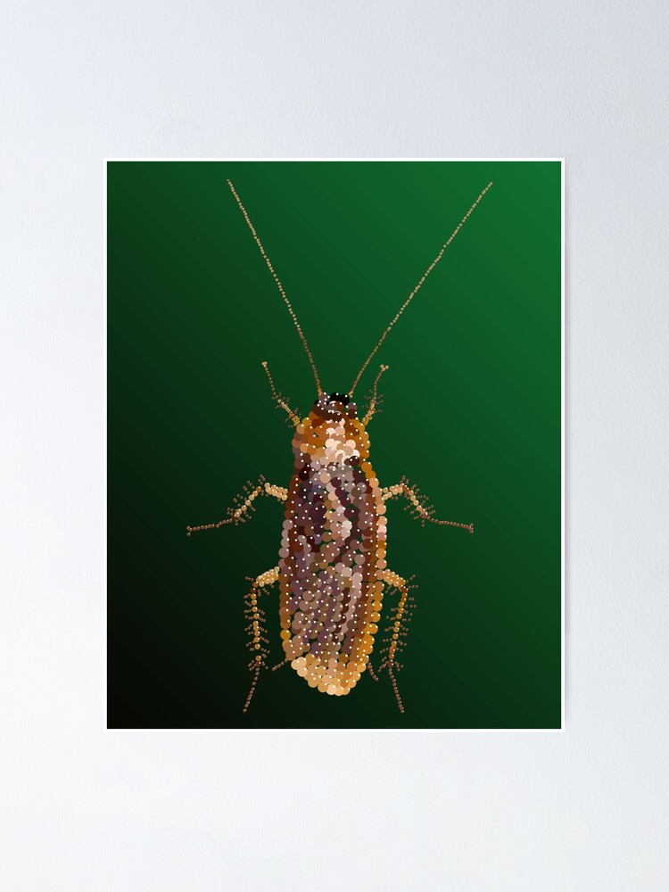 "Cockroach Bedazzled" Poster for Sale by Feralcoot | Redbubble