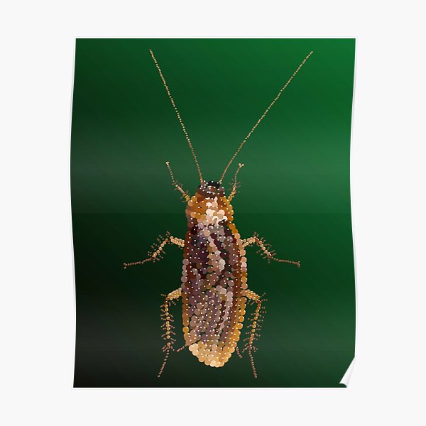 "Cockroach Bedazzled" Poster for Sale by Feralcoot | Redbubble
