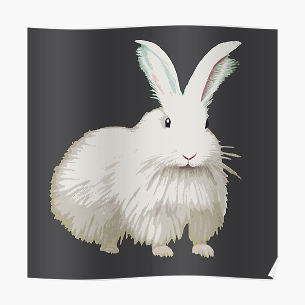 "Fluffy Dwarf Angora Rabbit as a Vintage Pet Furry and Cute Bunny ...