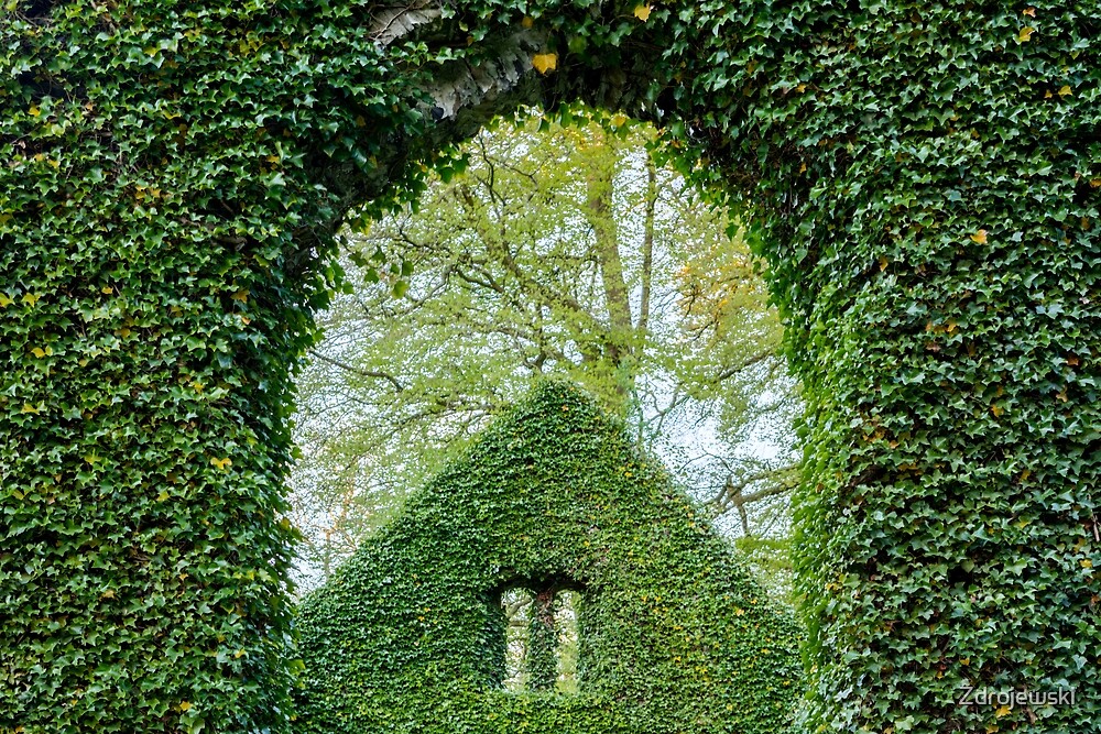"Ruined chapel, Galgorm Castle, County Antrim, Ballymena, Northern ...