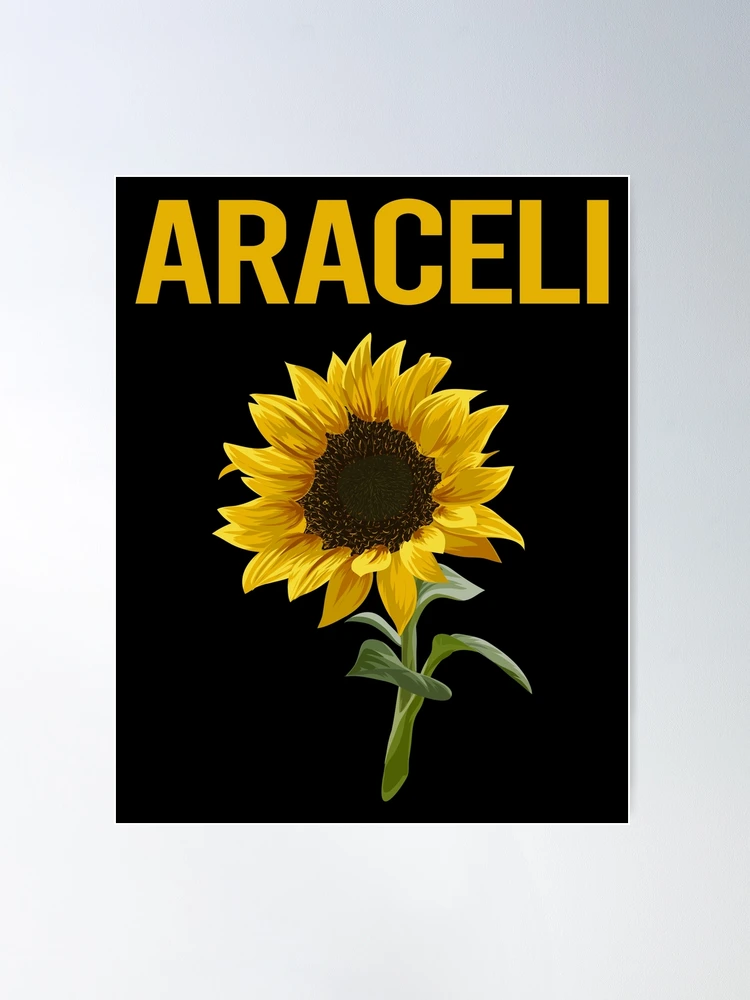 Ara Celi Posters ARACELI MALPICA POSTERS: COLOSENSES 3:17 / NUMEROS