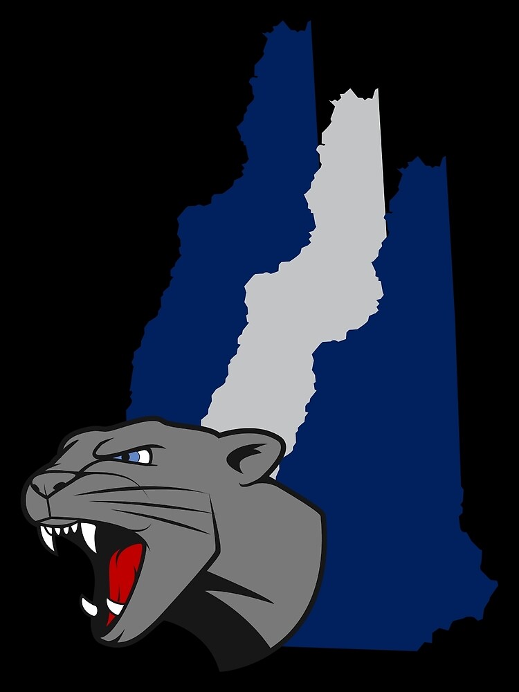"New Hampshire Border, Wildcats" Poster for Sale by LatterDaze | Redbubble