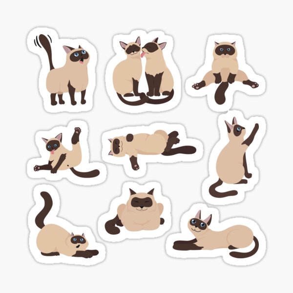 "Siamese Cat Sticker Pack" Sticker for Sale by zibziby | Redbubble