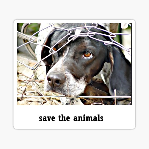"Save the animals" Sticker for Sale by ZlateZaze | Redbubble