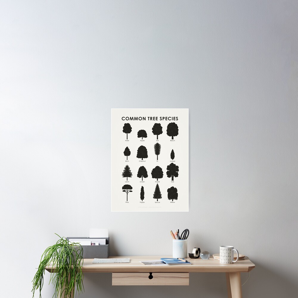"Common Tree Shapes or Species Identification ID Chart" Poster for Sale ...