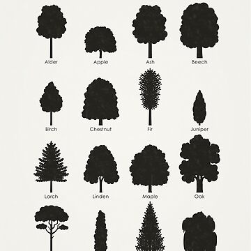 "Common Tree Shapes or Species Identification ID Chart" Art Board Print ...