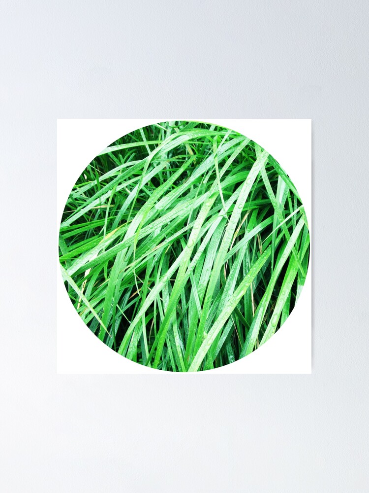 "Green grass circle photography | green grass circle photo" Poster for ...