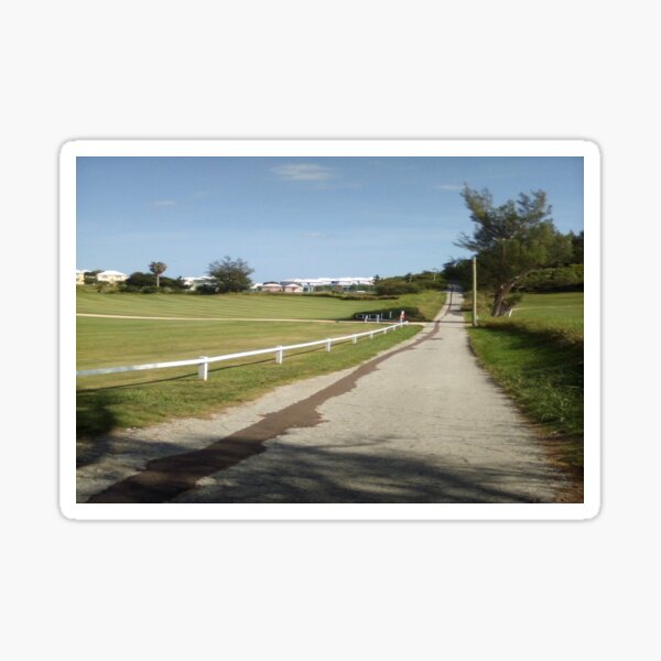 "Two Sided Golf Course" Sticker for Sale by vawnbillionaire | Redbubble