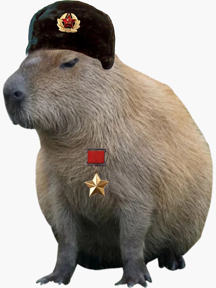"Communist Capybara" Sticker for Sale by mirceaspartan | Redbubble