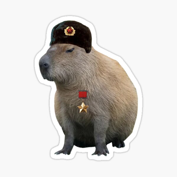 "Communist Capybara" Sticker for Sale by mirceaspartan | Redbubble