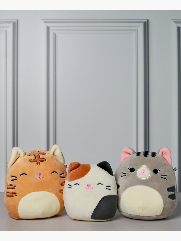 "Squishmallow Cat Photo" Sticker for Sale by sapphicsquish | Redbubble