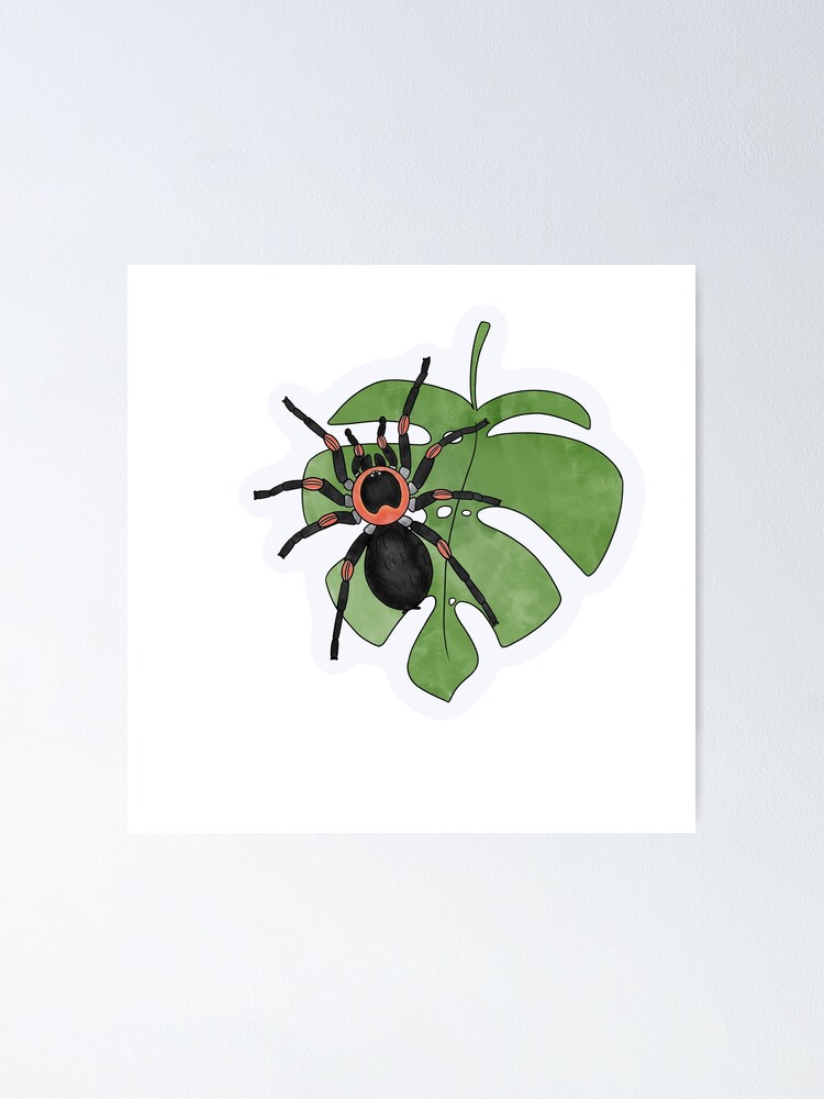 "Redknee tarantula" Poster for Sale by cattledogart | Redbubble