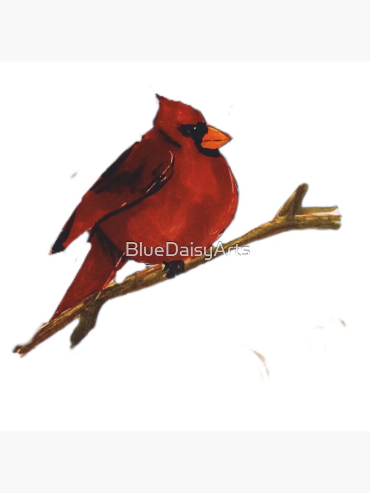 "Antony the Cardinal" Photographic Print for Sale by BlueDaisyArts ...