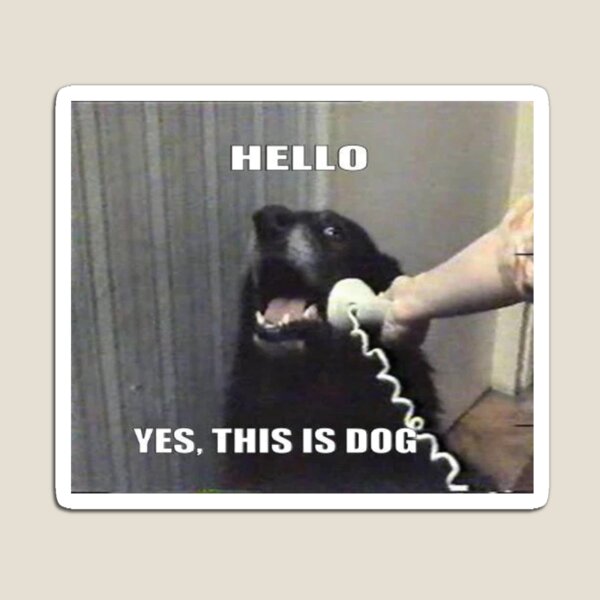 Telephone Dog Memes