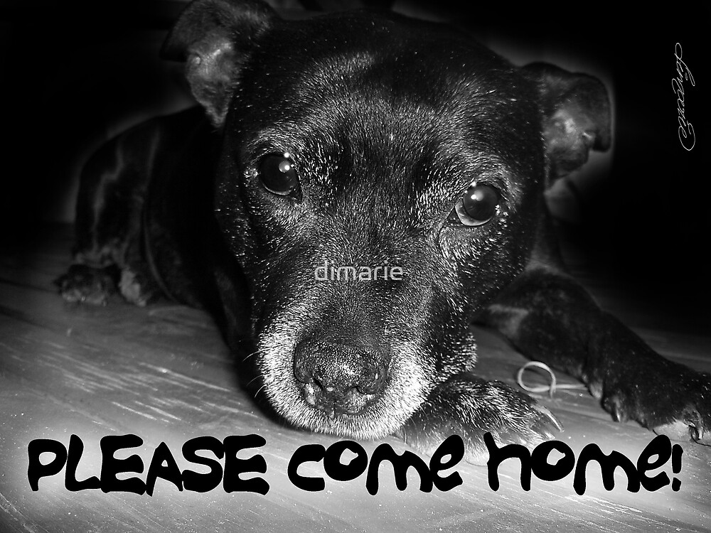 "PLEASE come home!" by dimarie | Redbubble