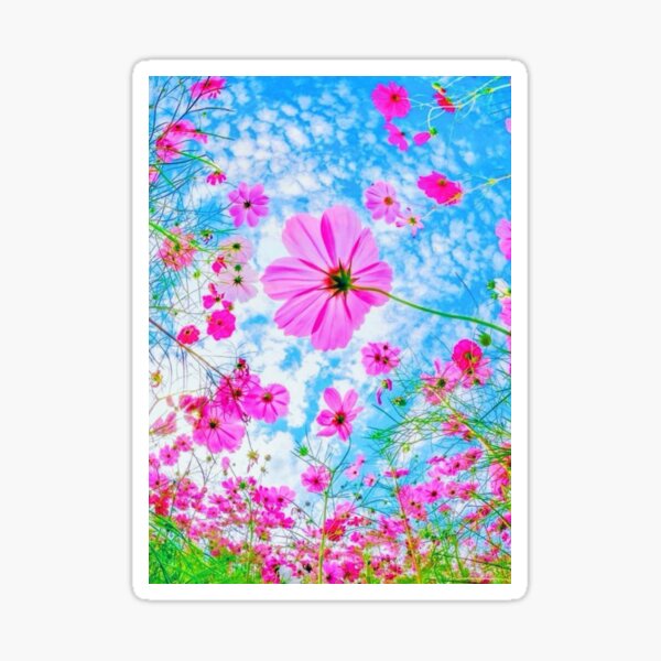 "Beautiful pink flowers landscape." Sticker for Sale by Art-Vibrations ...
