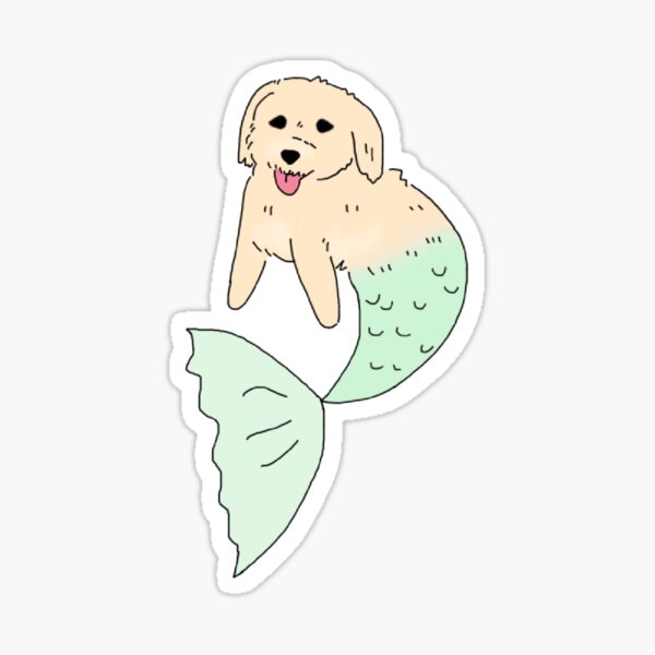 "Blonde Maltipoo Merdawg" Sticker for Sale by merdawgs | Redbubble