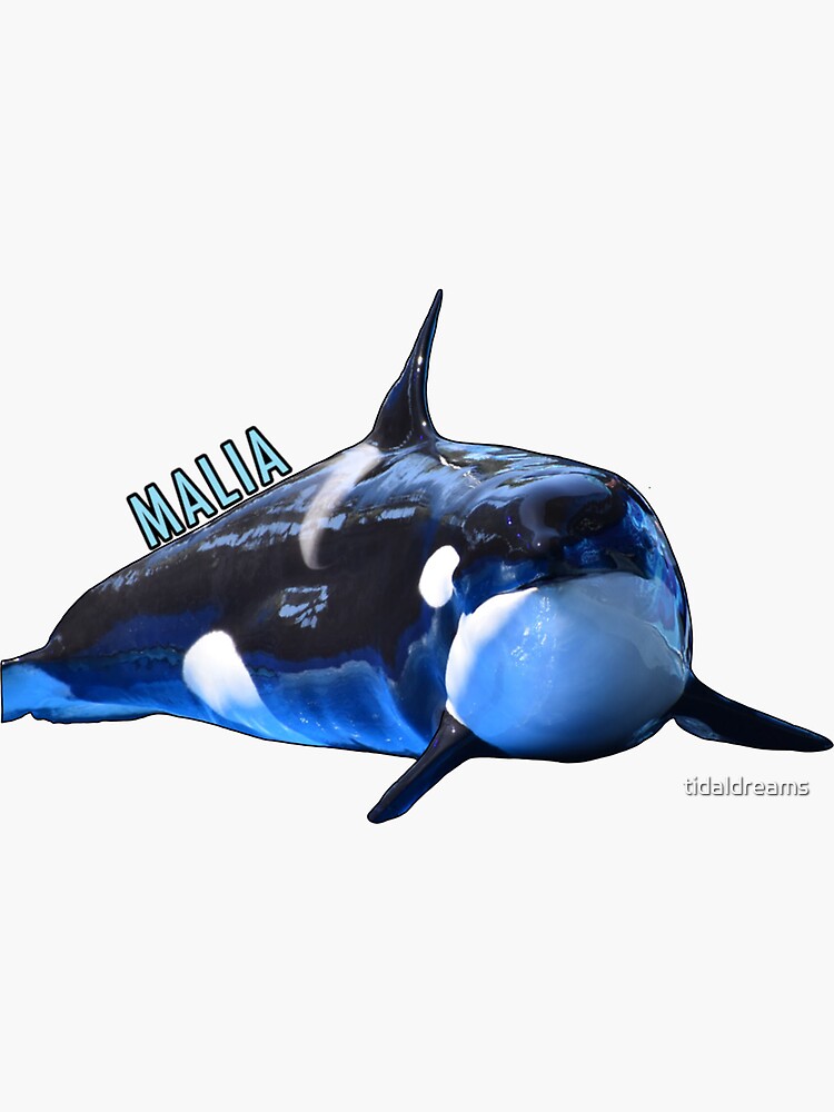"Malia Orca " Sticker for Sale by tidaldreams | Redbubble