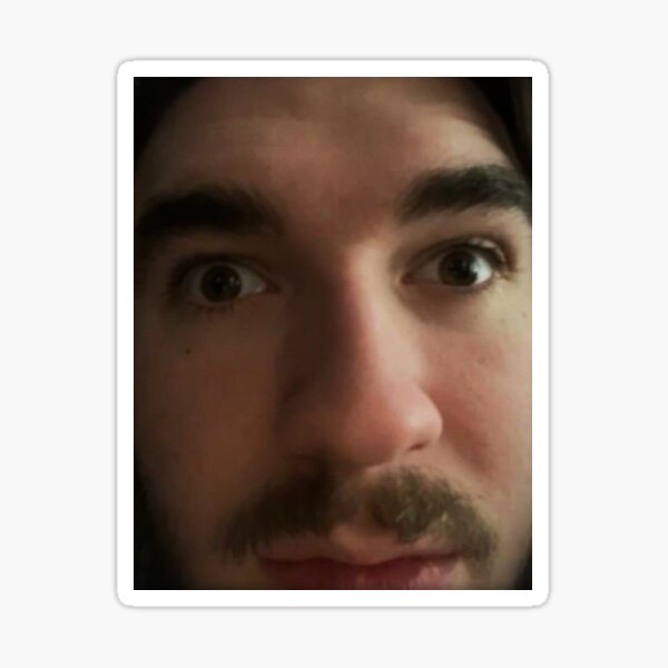 "Schlatt Socks" Sticker for Sale by JavaDraws | Redbubble